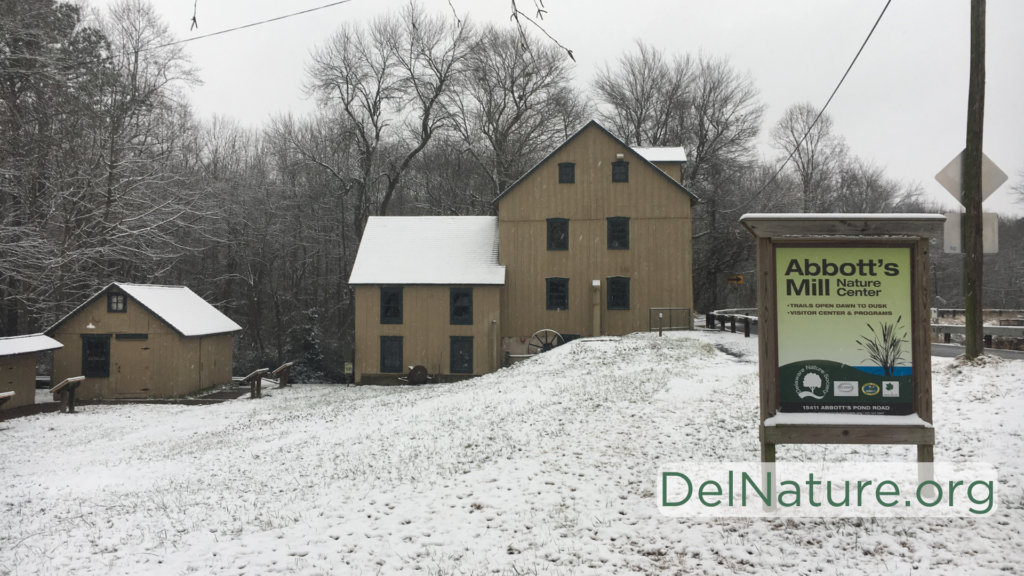 Delaware Nature Center March events announced - Milford Times